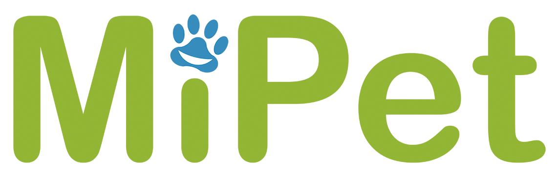 Plato Plástico Huellita – Colores