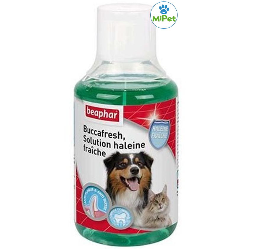 Beaphar MOUTH Wash 250 ml - MiPet